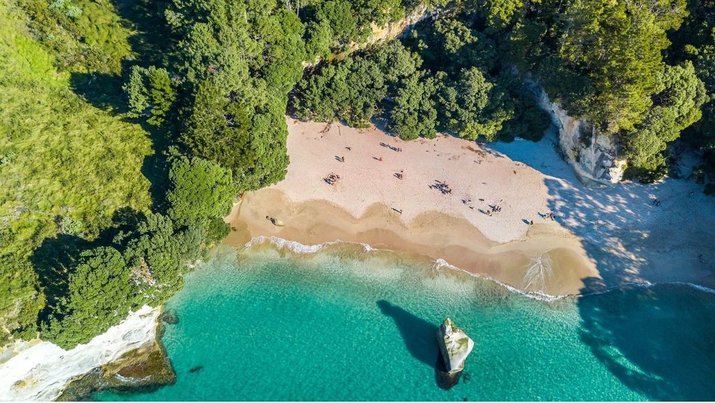 Top 14 Things To See & Do In Coromandel On A Budget